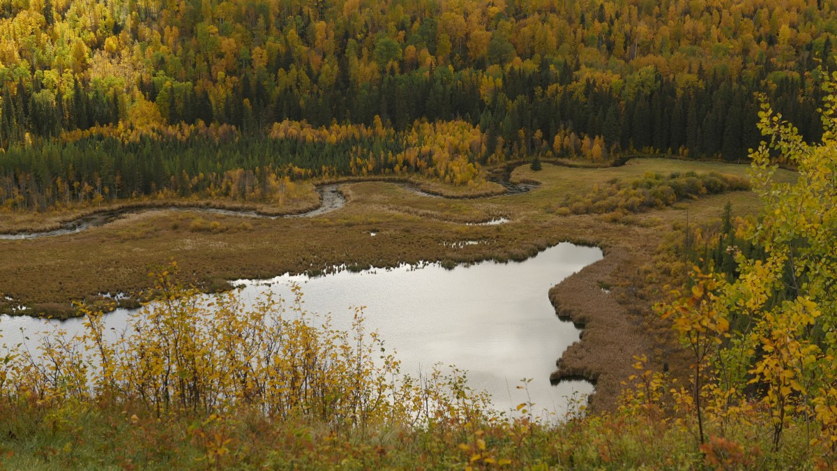 About – Maskwa & Associates